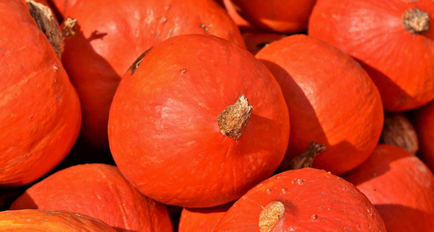 Half Term in Chesterfield | Destination Chesterfield